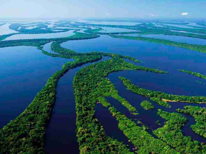 Viaje para o Amazonas com milhas aéreas - MilhasAéreas.net